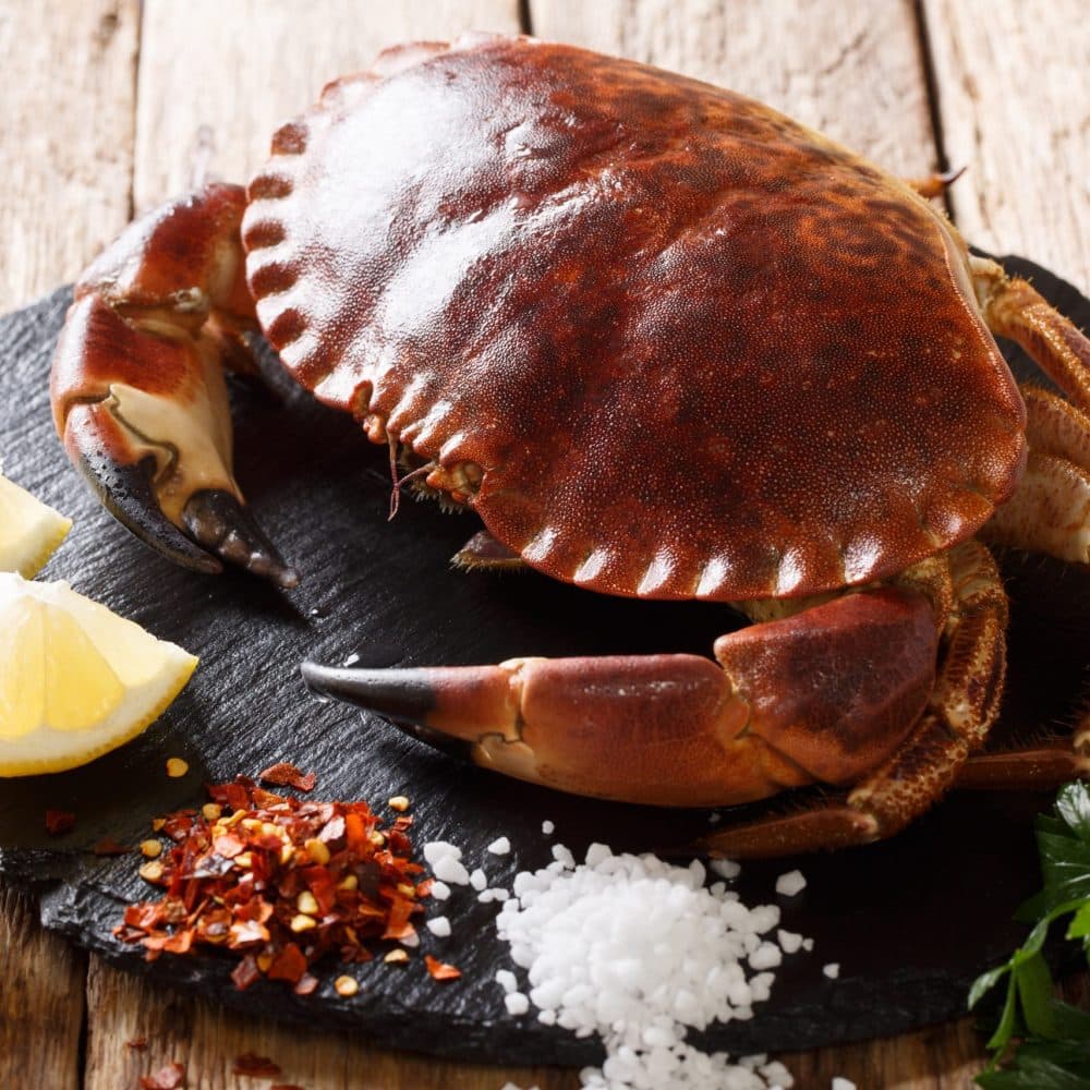 Lobster and Crab, Fresh, Live | AO Seafood Delivery