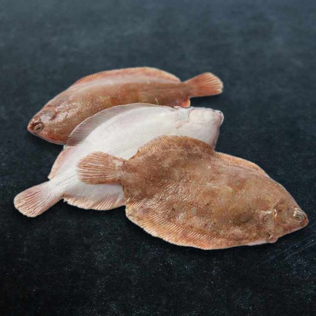 Frozen Fish, Buy Online | AO Seafoods