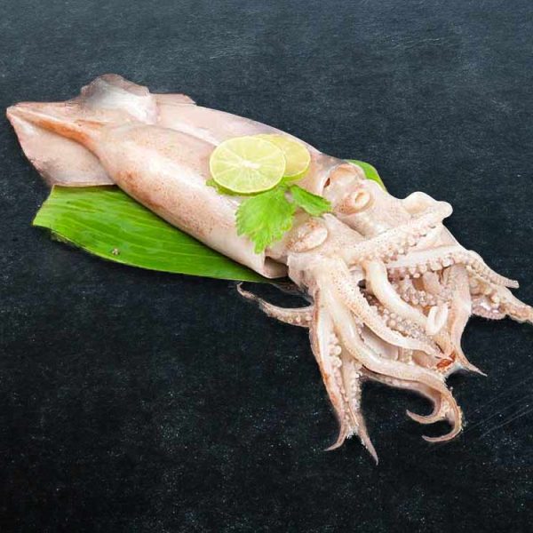 Fresh Squid, buy online and delivered to your door