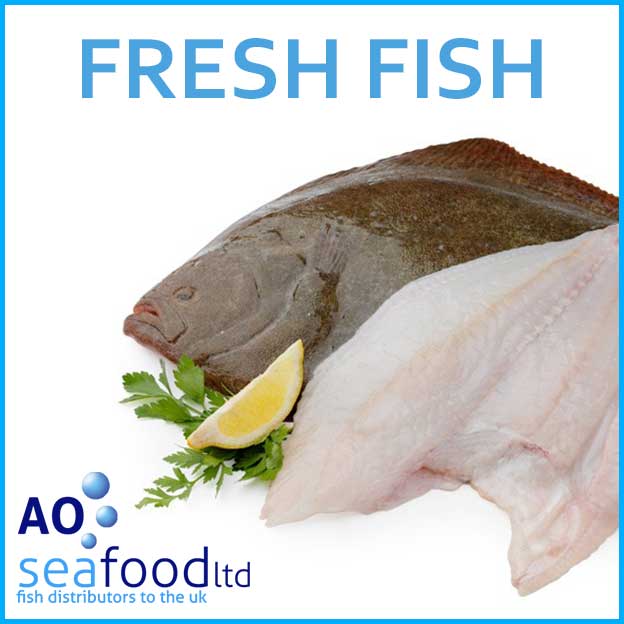 Products Archive - AO Seafoods