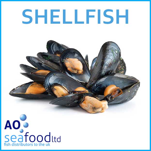 Products Archive - AO Seafoods